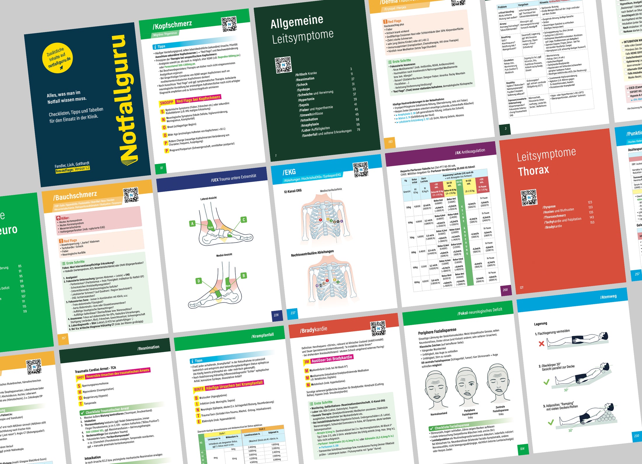 GuruCards – Notfallguru